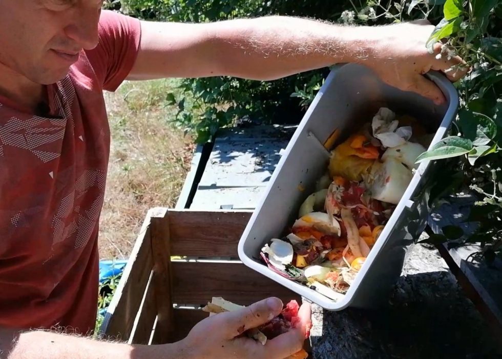 La recette pour un compost réussi | Terra Potager