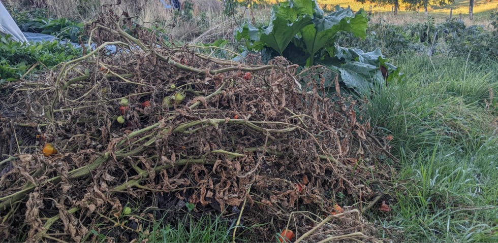 Le compost en tas : comment le réussir ? | Terra Potager